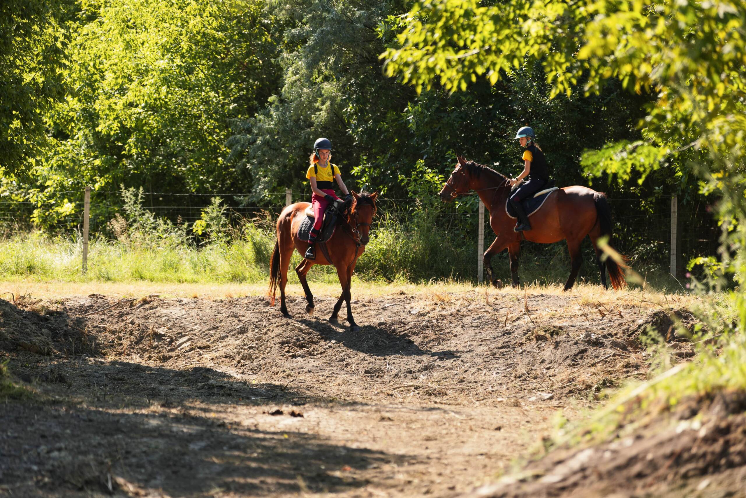 Kezdőlap - Equiloop Lovasudvar
