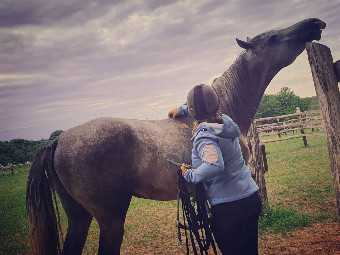 Sweet spot - Equiloop Lovasudvar